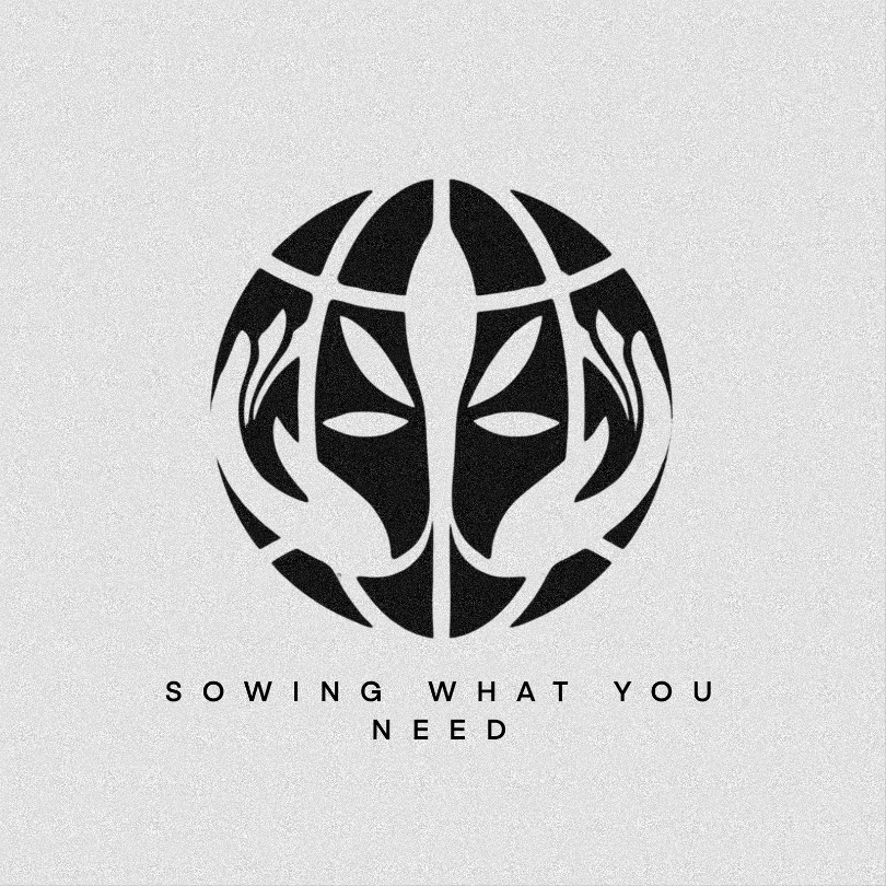 Amnésia Hy-Pro Fem - Need Seeds Bank